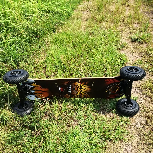 Big Wheel Downhill All Terrain Skateboard Cross Country Mountain board ...