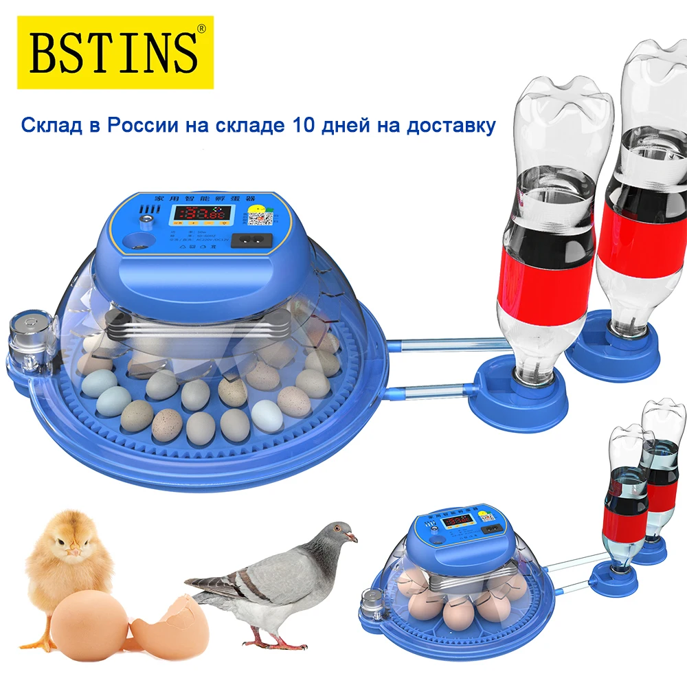 Incubadora-el-trica-autom-tica-da-incubadora-ovos-Brooder-galinha-pato ...