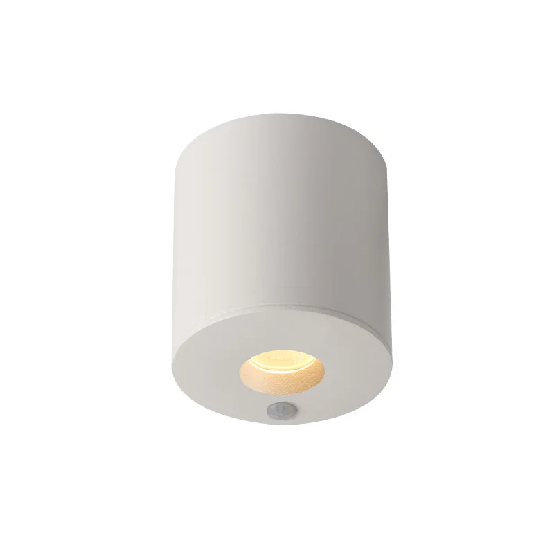 Aisilan Sensor Light Downlight Ceiling Light Human Body Sensing ...