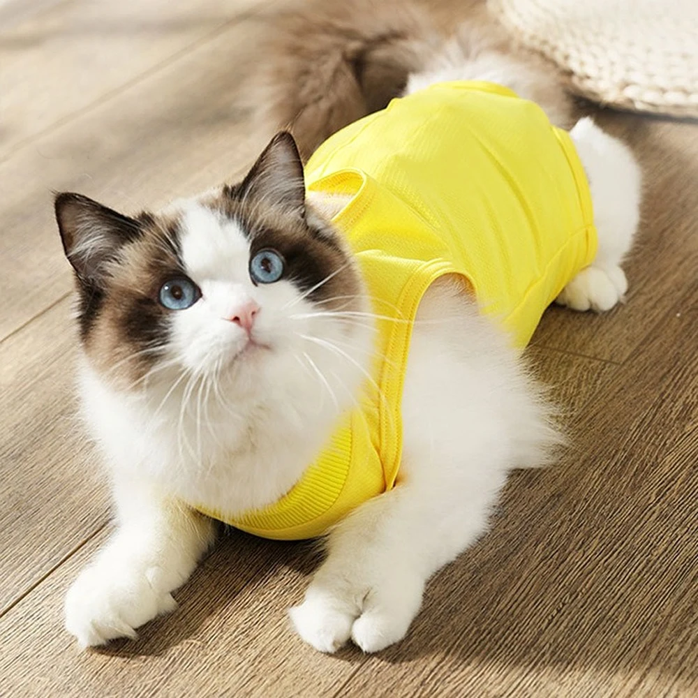 Ropa suave para gato, traje de recuperación postoperatoria para gato ...
