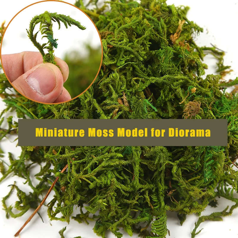 DIY-Model-Making-Artificial-Moss-Lichen-Simulation-Fake-Green-Plants ...