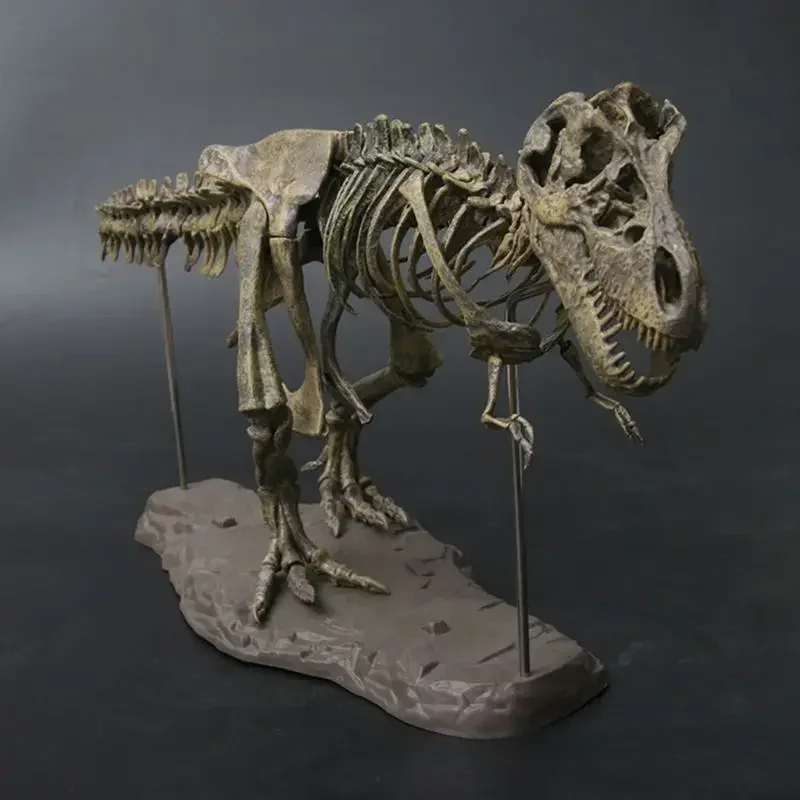 DIY-Large-T-Rex-Tyrannosaurus-Rex-Skeleton-Dinosaur-Animal-Model ...