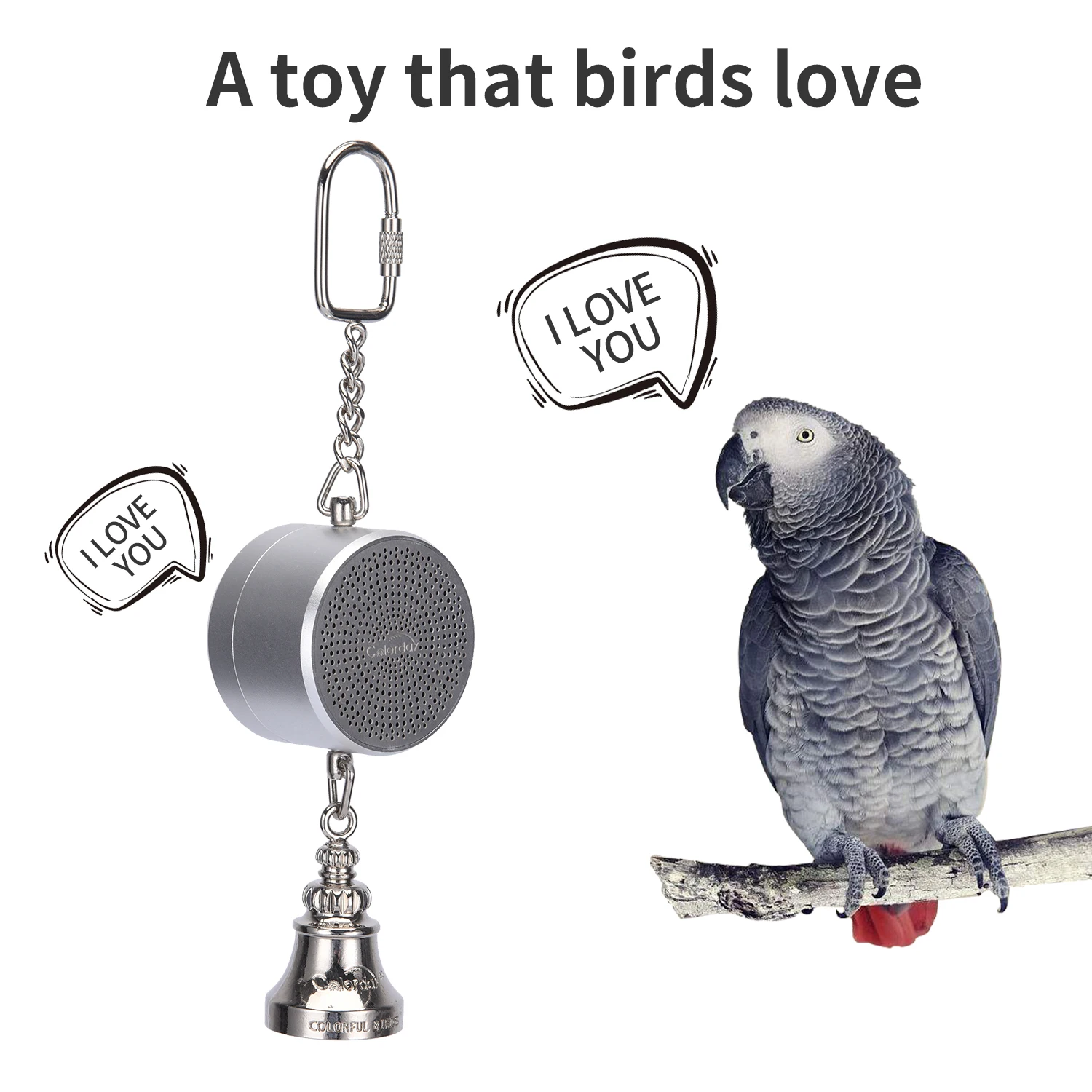 Parrot Toys to Teaching Training Bird Talking Coach Interactive ...