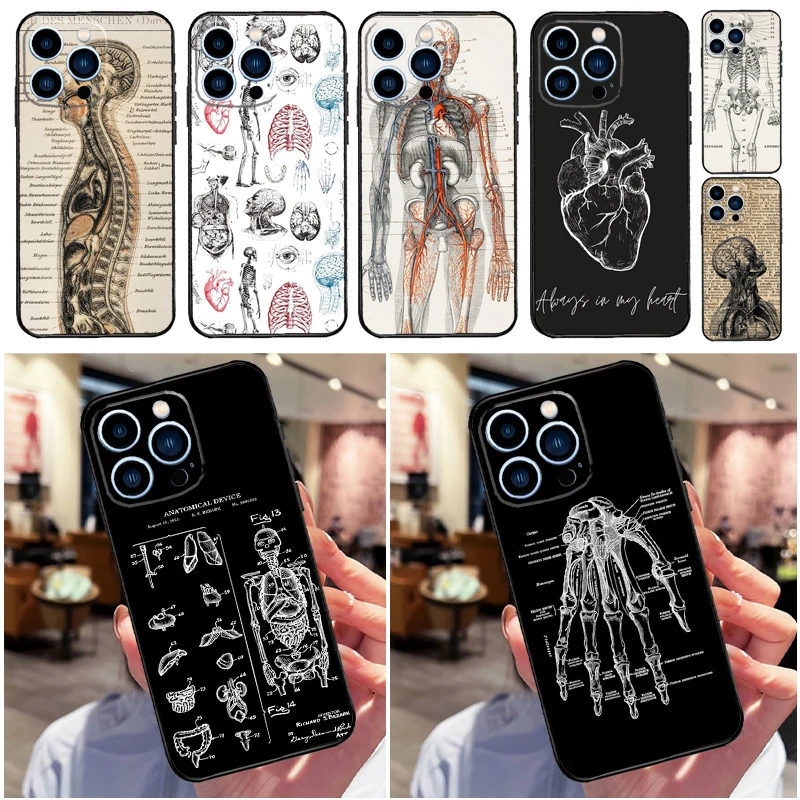 Medical Human Organs Brain Phone Case For iPhone 16 15 13 12 11 14 Pro ...