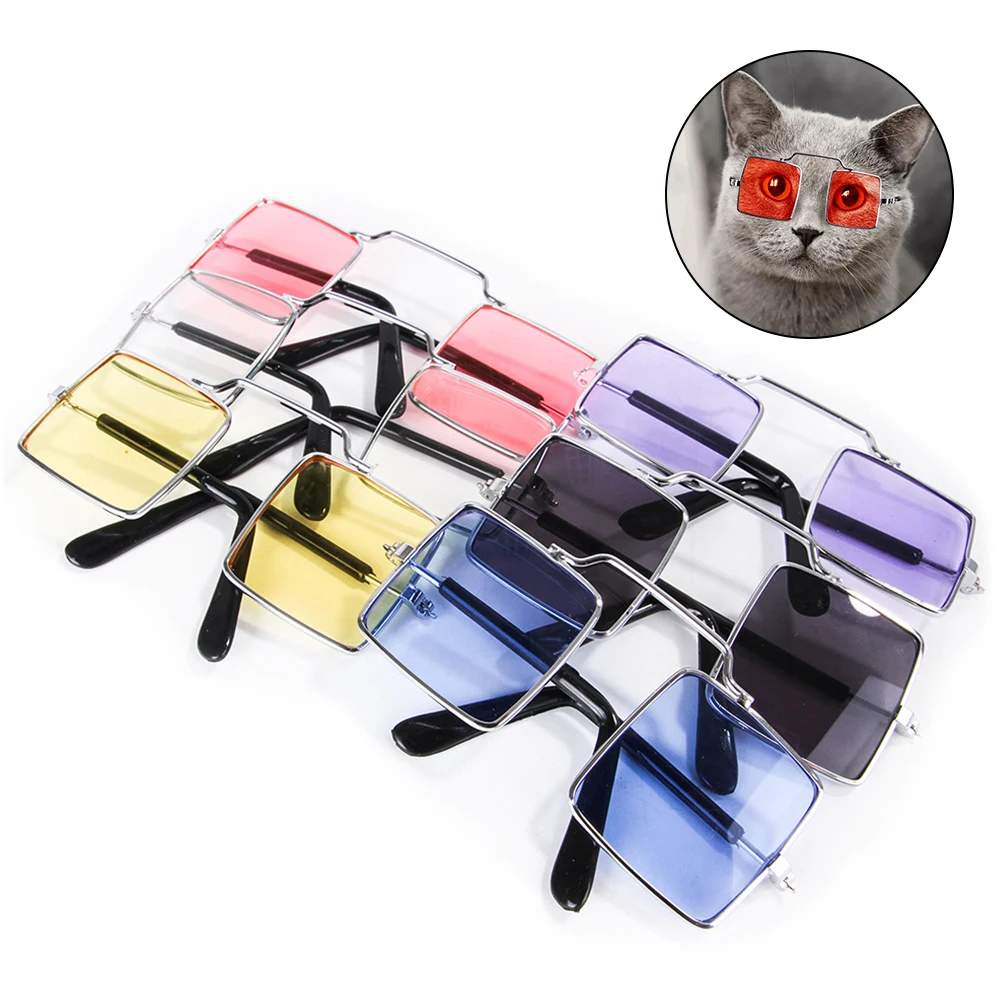Pet Cute Glasses Plastic Transparent Cat Sun Glasses Dog Teddy ...