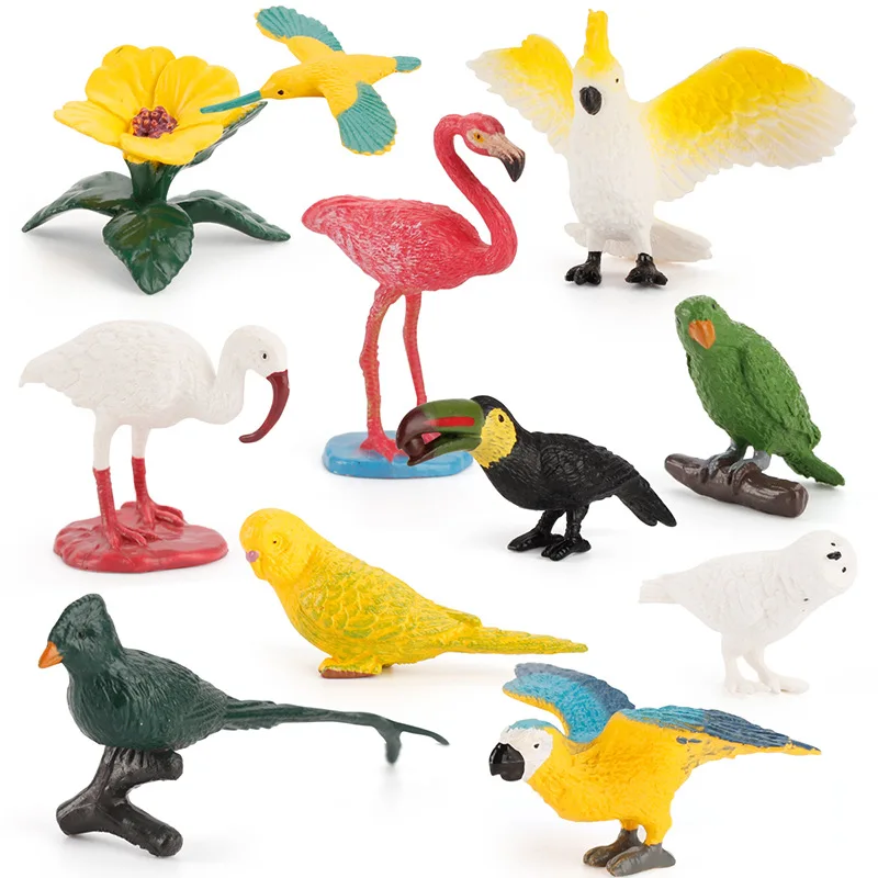 10PCS-Set-Mini-Birds-Models-Parrot-Hummingbirds-Children-Educational ...