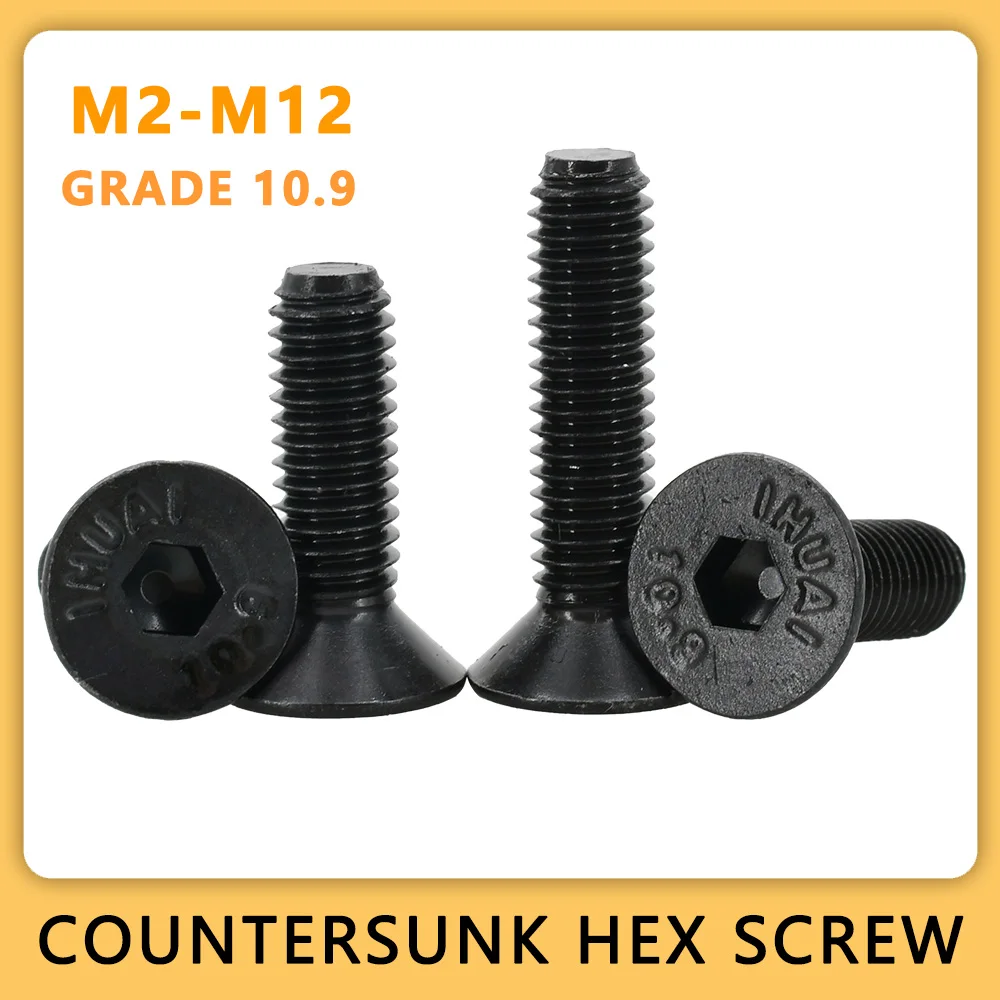 M2-M2-5-M3-M4-M5-M6-M8-M10-M12-Hex-Screw-Black-Grade-10-9.jpg