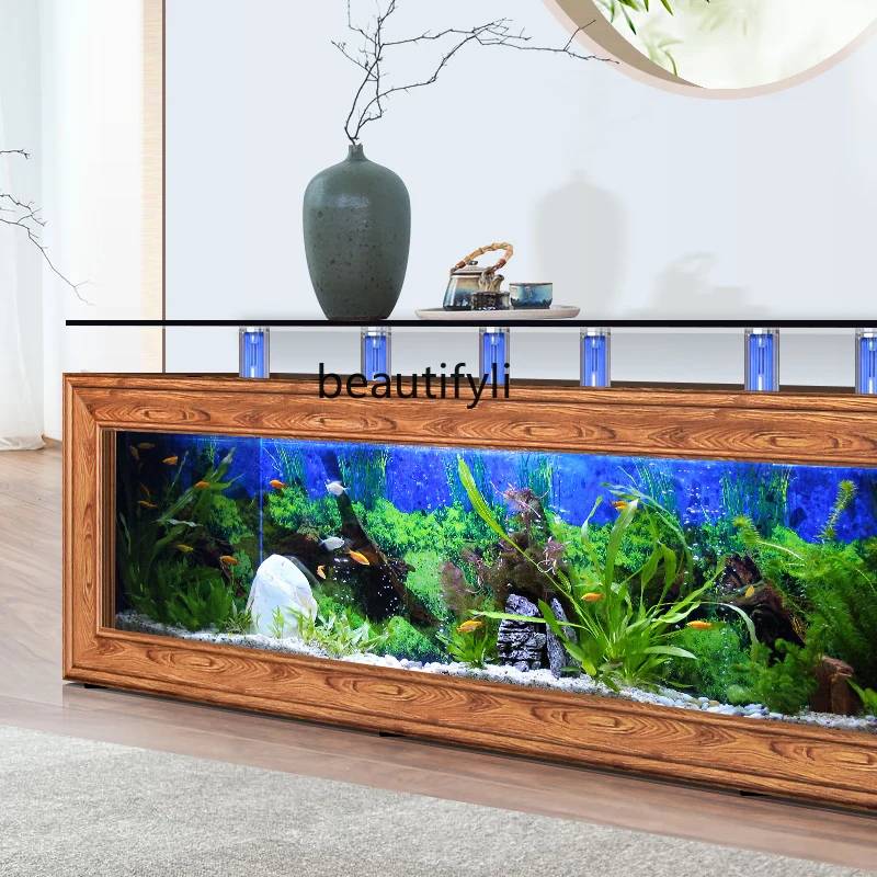 Home Aquarium In The Floor
