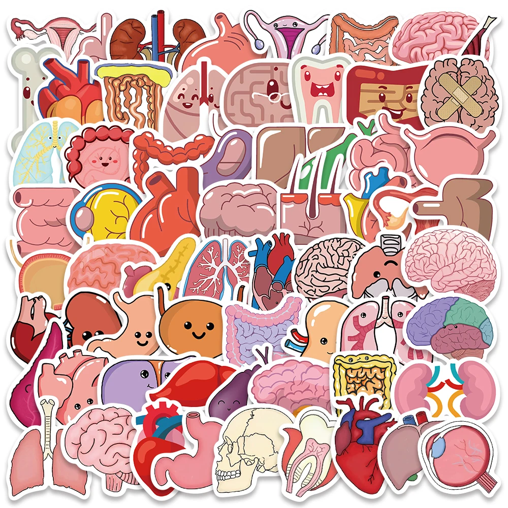 10-65PCS-Cartoon-Human-Organ-Cute-Medical-Anatomy-Sticker-Laptop ...