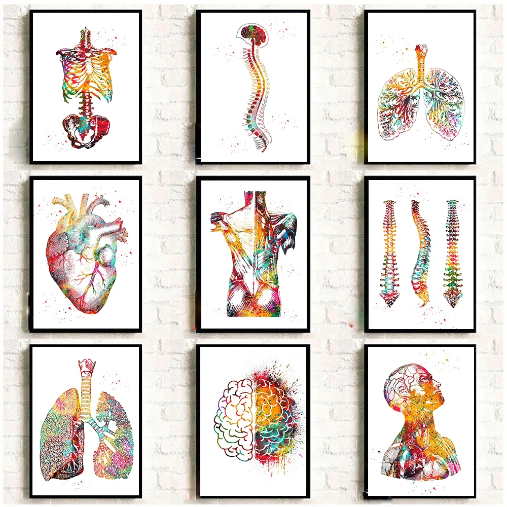 Home-Human-Anatomy-Muscles-System-Wall-Art-Canvas-Painting-Posters-And ...