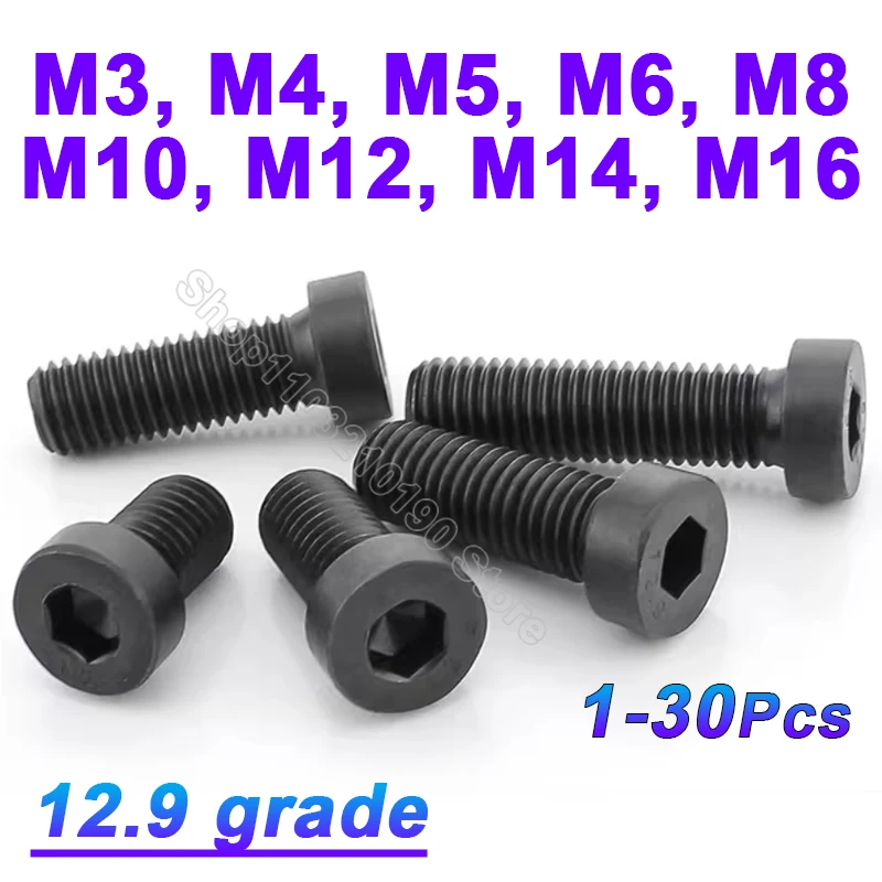 1-30pcs-M3-M4-M5-M6-M8-M10-M12-M14-M16-Black-12-9-Grade-DIN7984.jpg