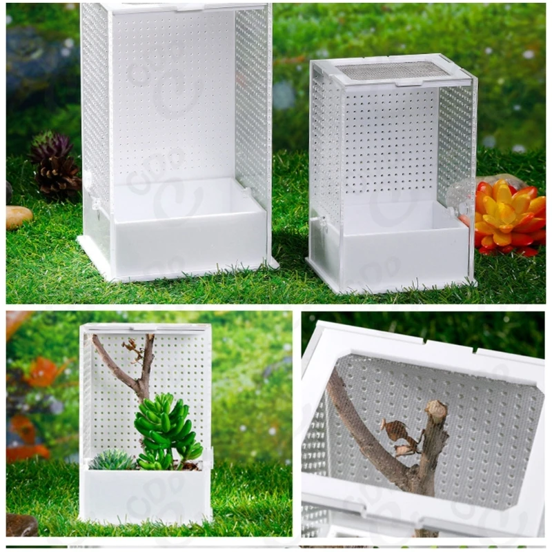 Insect-Feeding-Box-Plastic-Transparent-Breeding-for-Case-for-Spider ...