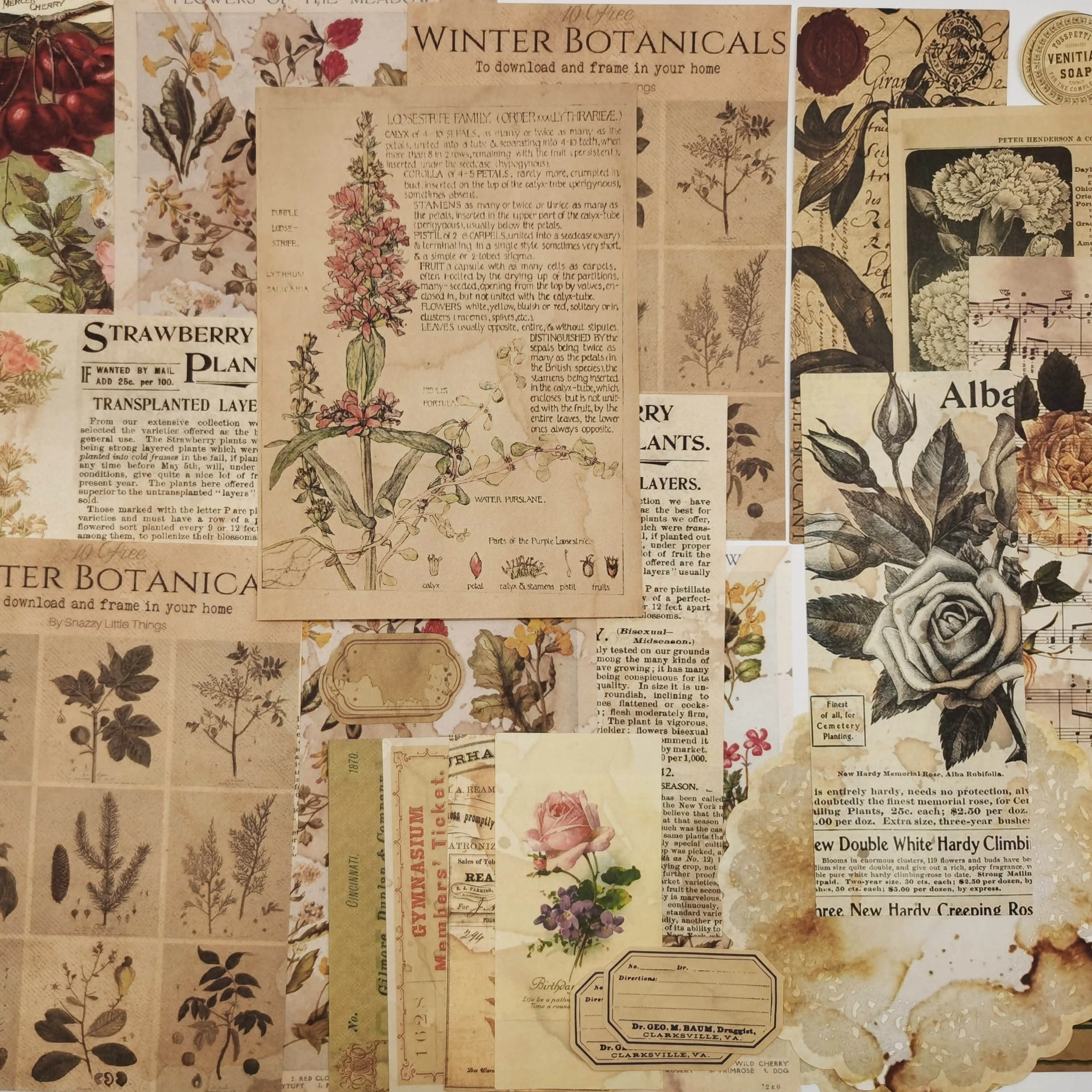 Vintage Book Page