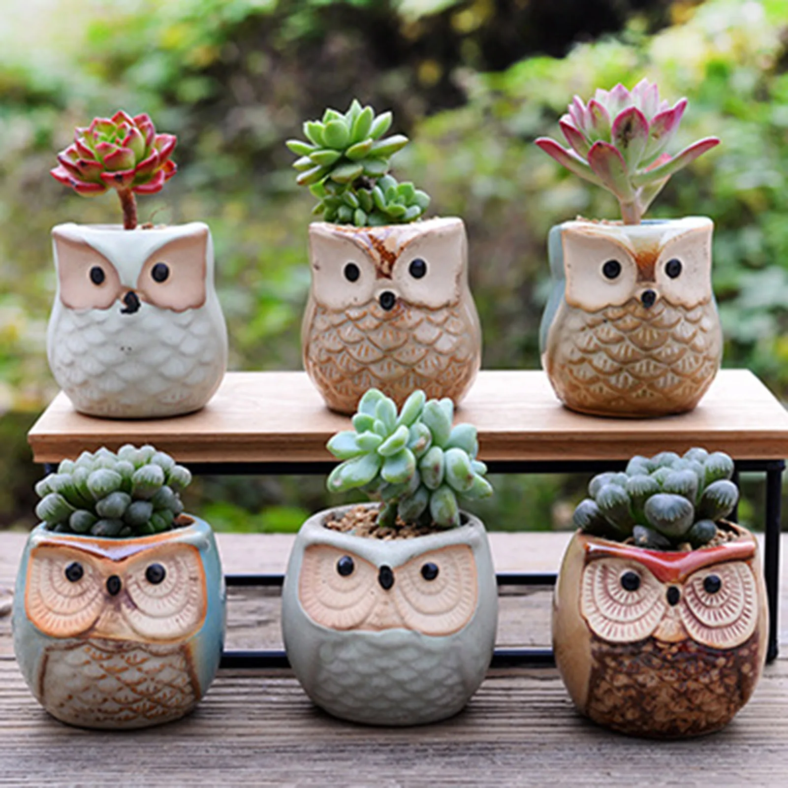 6Pcs-Set-Ceramic-Owl-Shape-Garden-Flower-Pot-Desk-Plant-Pot-Creative ...