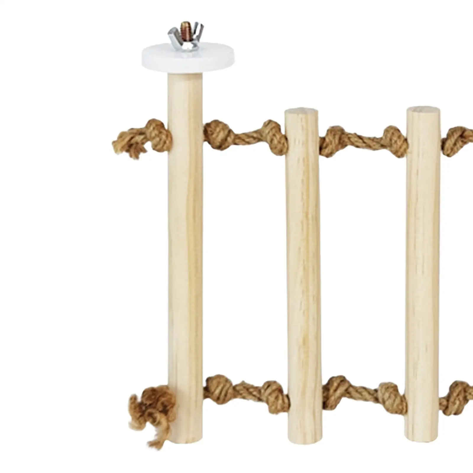 Bird Rope Ladder - My Fur Baby Shop