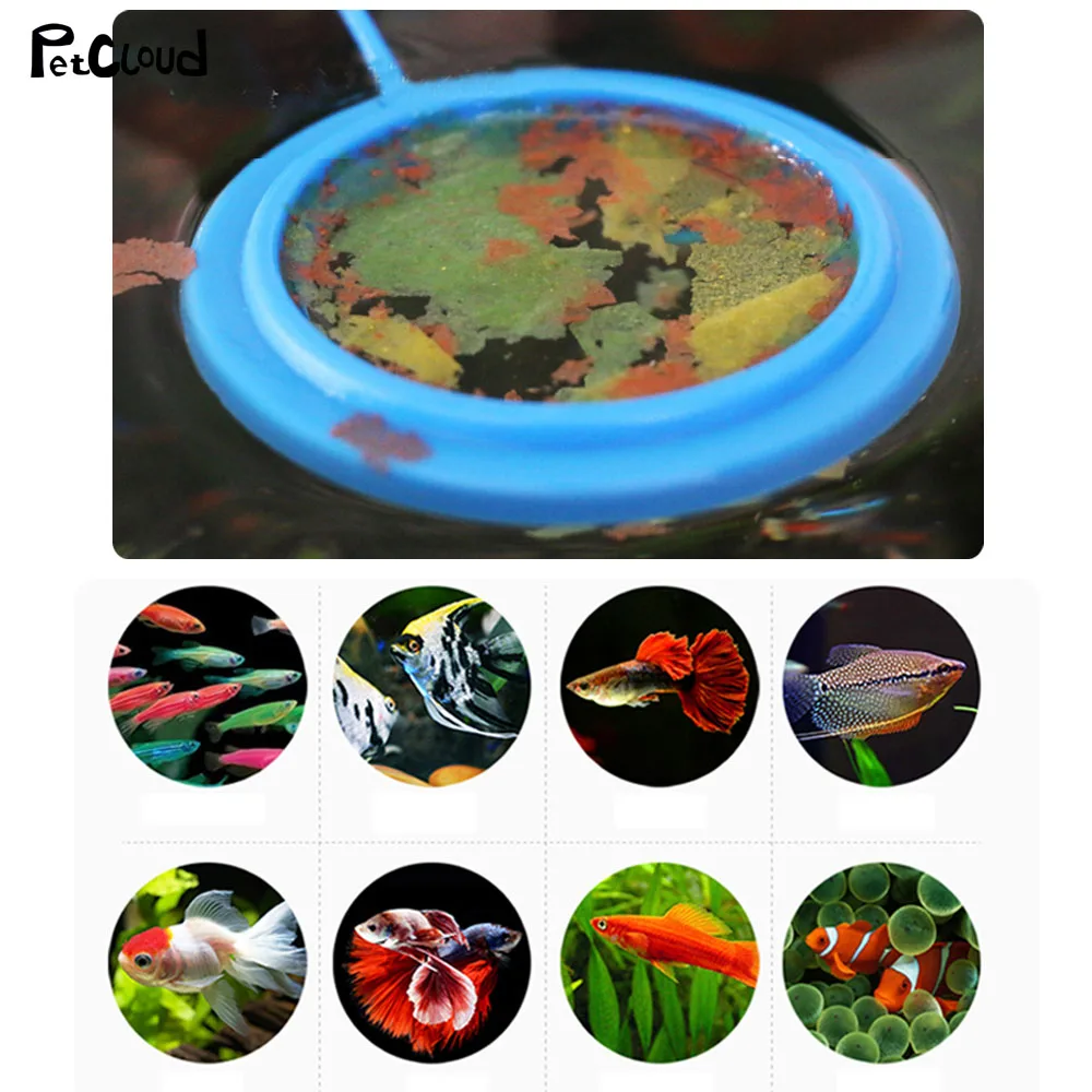 Betta Fish Food Flakes