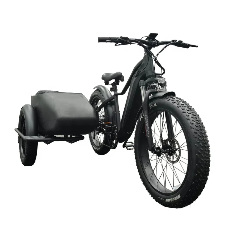 Everything You Need to Know About SDE Car Electric Sidecars for Fat ...