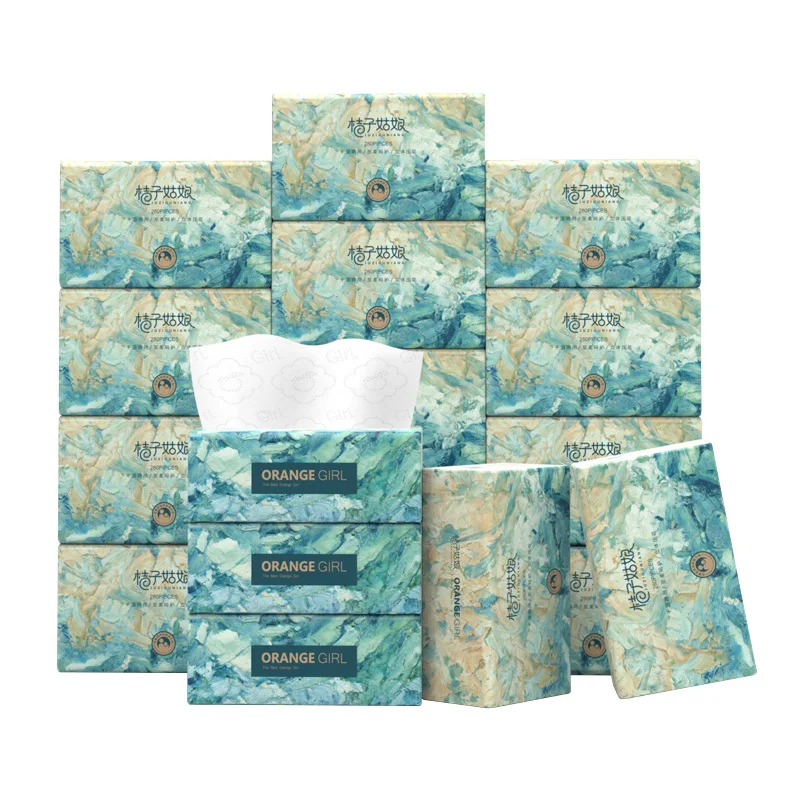 12 Packs, 1 Carton; Household Toilet Paper; Medium Pack Toilet Paper ...
