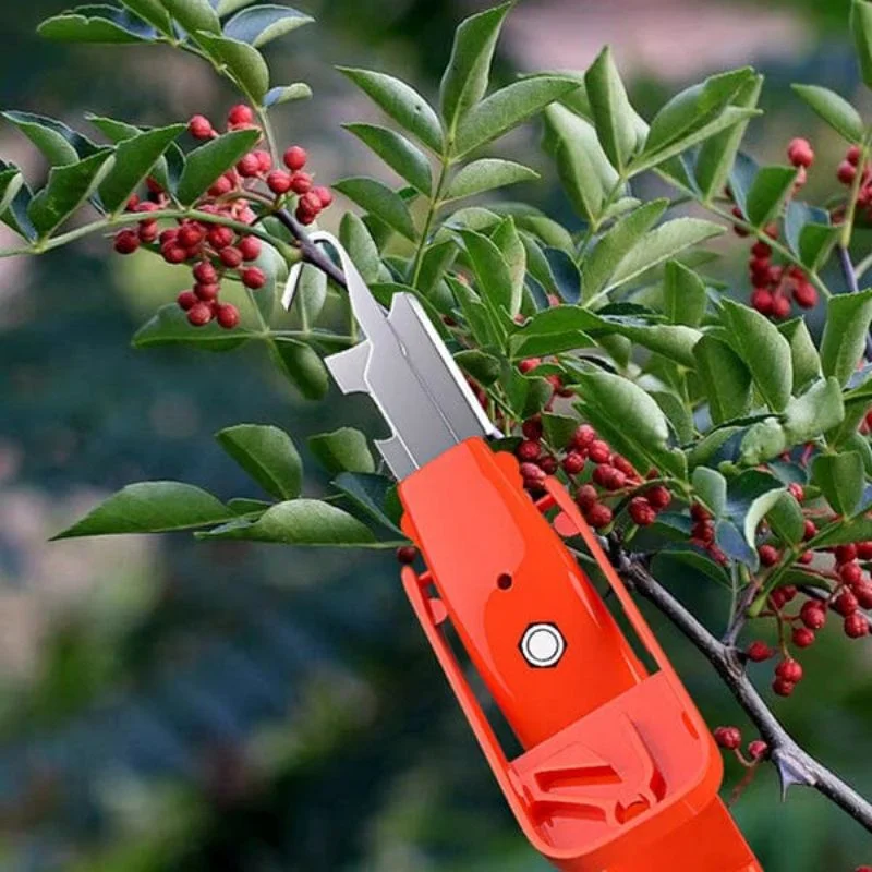 Efficient-Pepper-Gathering-Tools-Grape-Picking-Tools-Pepper-Crop ...