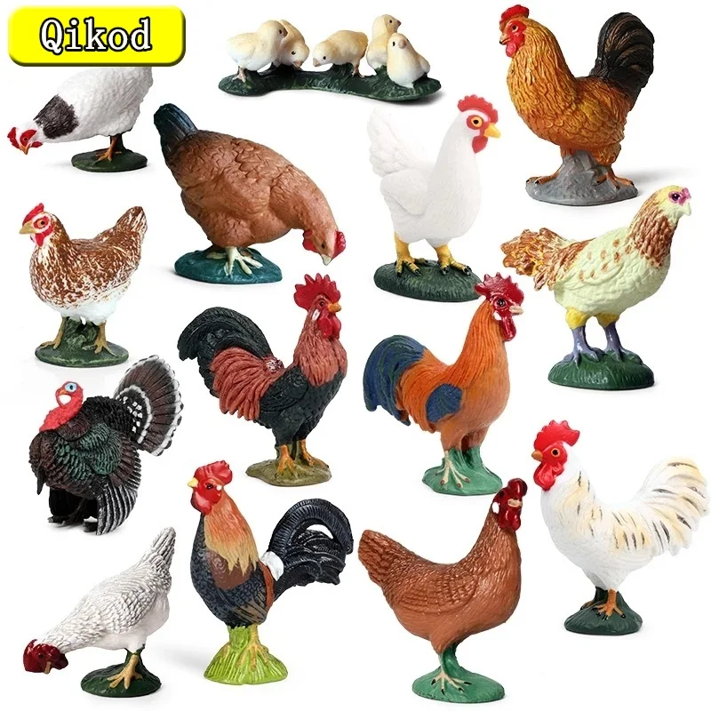 Real Farm Animals Chickens