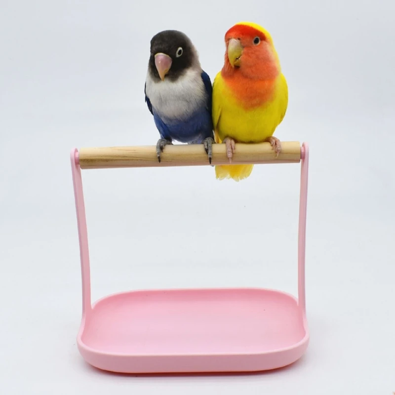 Bird Training Stand Portable Tabletop Parrot Natural Wood Perch for ...