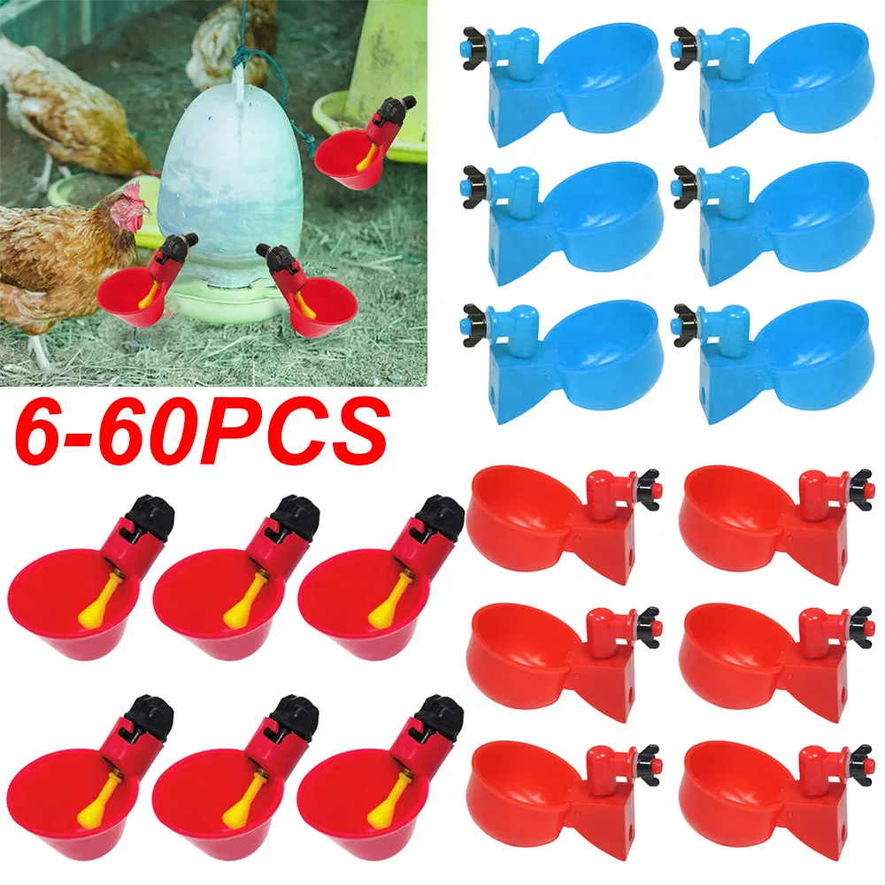 Se2b30112132f4cc7a398e23763dcc80dd.jpg