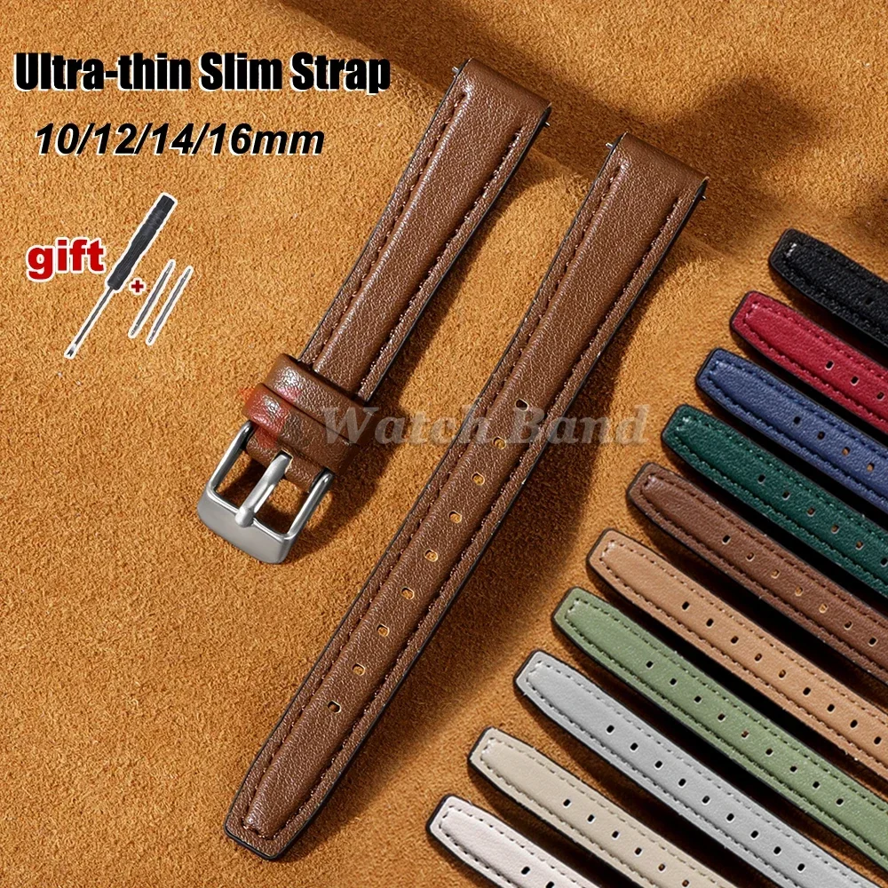 Watch Strap 10mm 12mm 14mm 16mm Ultra-thin Watch Band Slim for Women ...