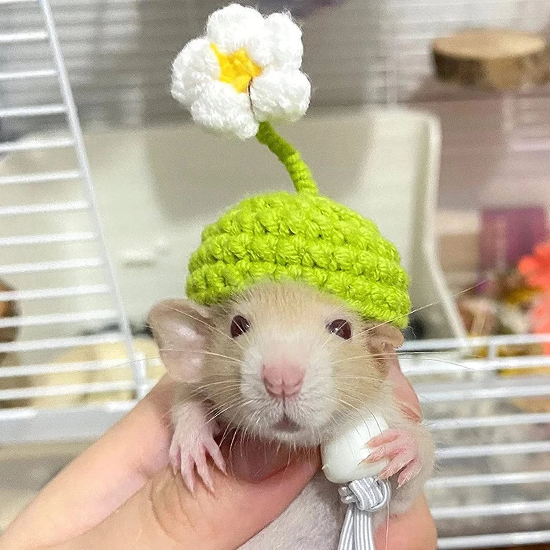 Hamsters In Costumes