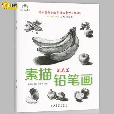 Sketch Pencil Drawing From Beginner to Proficient in Sketching Art Book ...