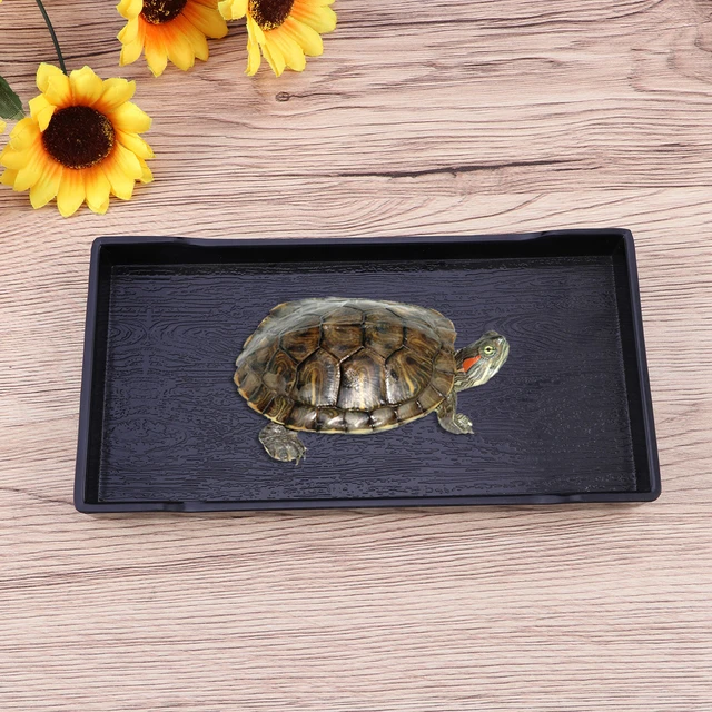 517E Reptile Tank Anti-Escape Plastic Spacious House