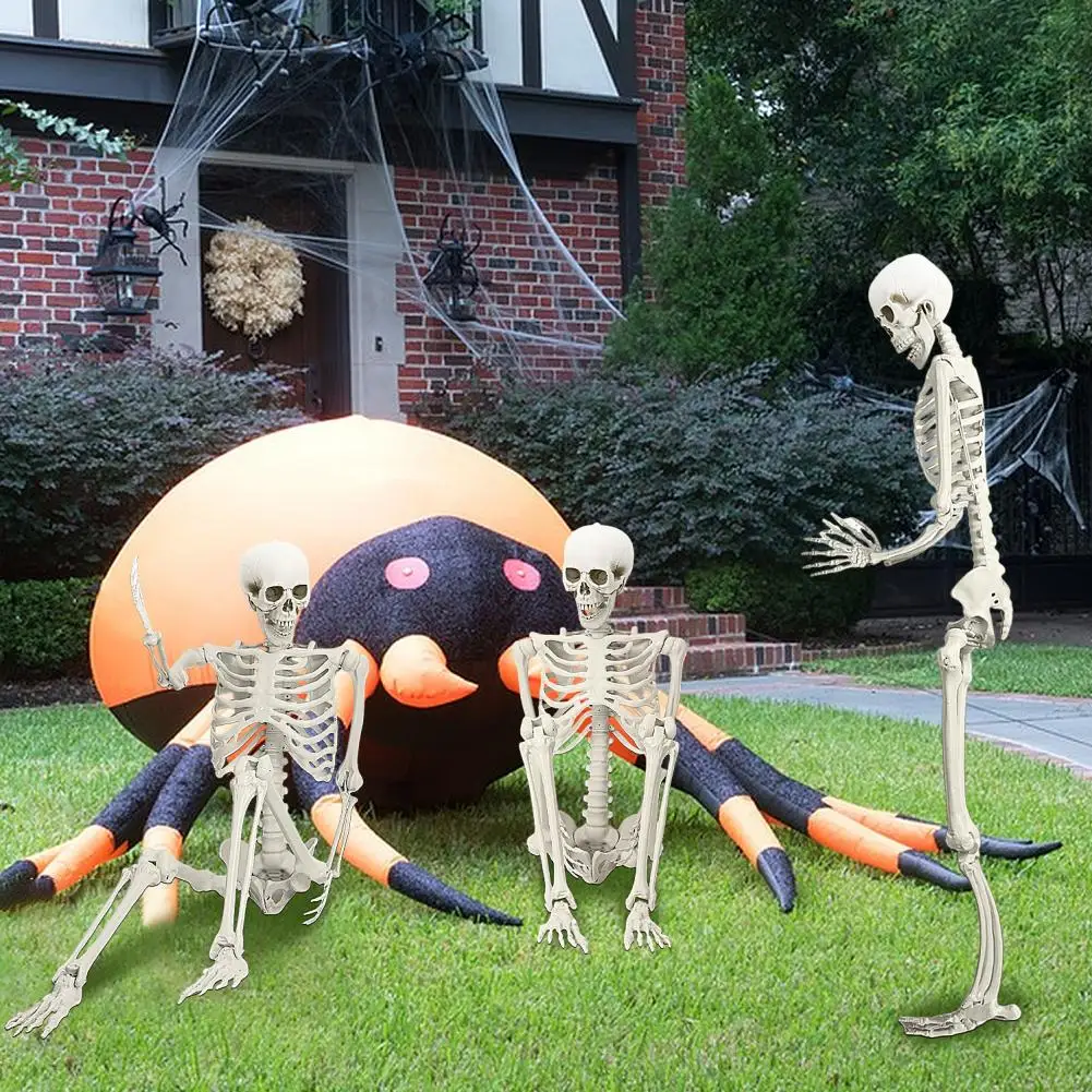 5.4FT Poseable Skeleton Prop, Movable Joint Skeleton Decoration, Life ...