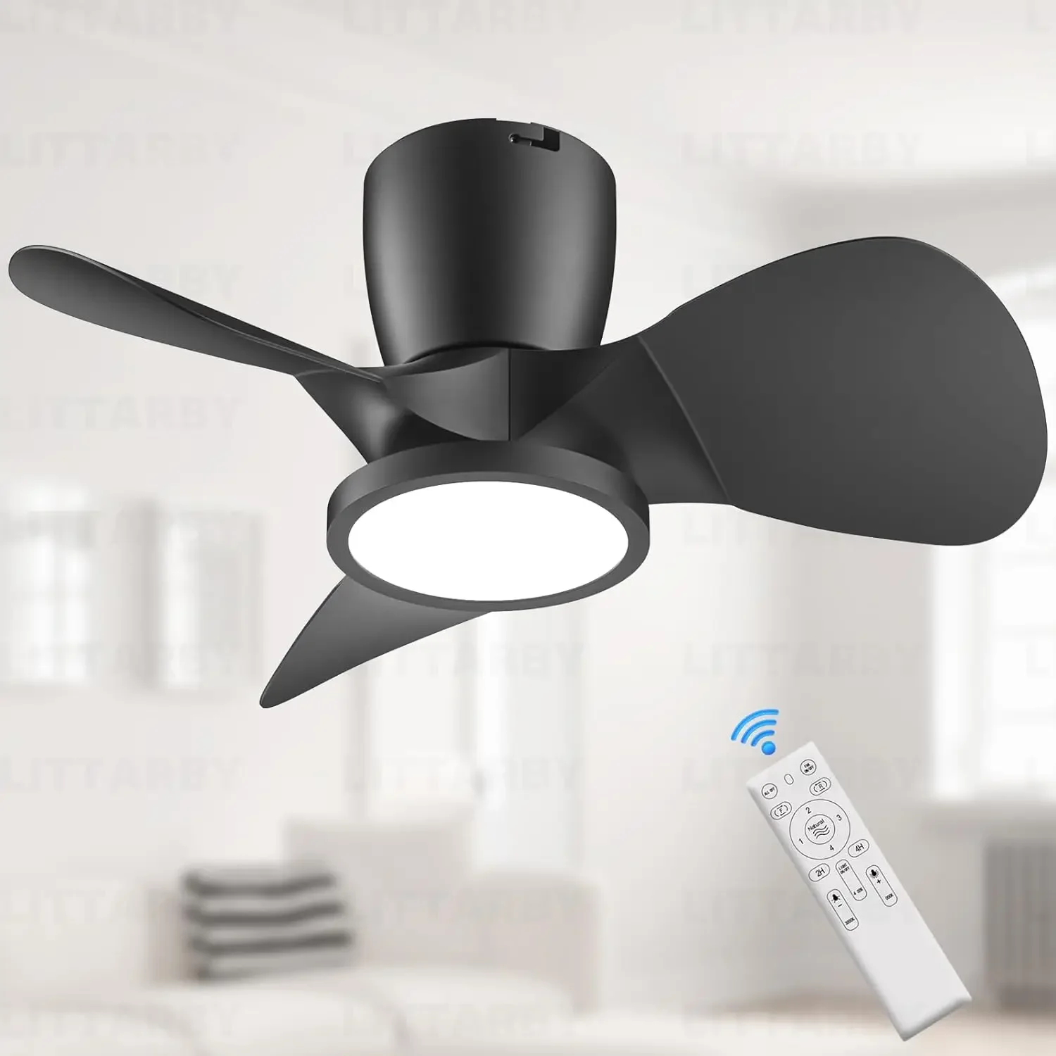 Modern-Black-24-Inch-Ceiling-Fans-with-Lights-and-Remote-Control ...
