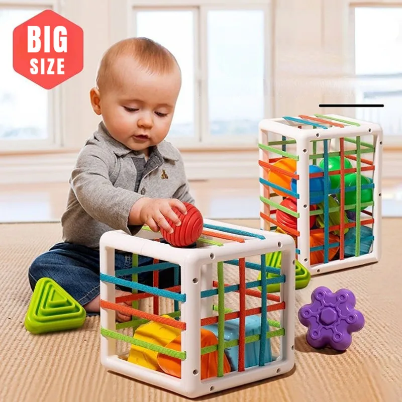 Colorful Shape Blocks Sorting Game Baby Montessori Learning Educational ...