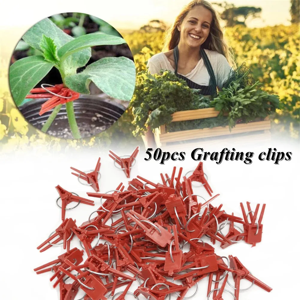 50pcs Plastic Grafting Clips Graft clip Garden Plant Clamp Support ...