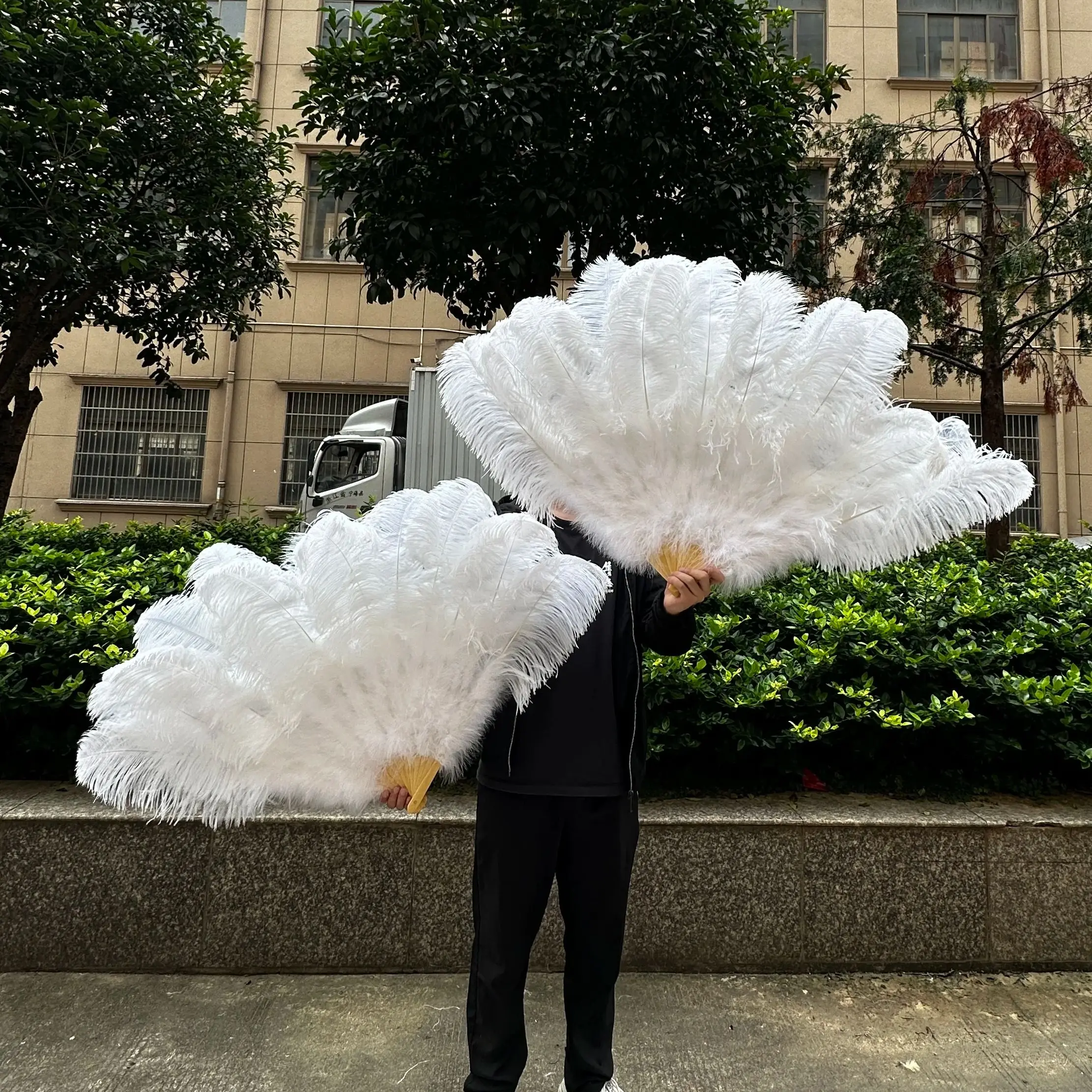 1-2pcs-Big-White-Ostrich-Feather-Fan-Belly-Dance-Show-fans-Halloween ...
