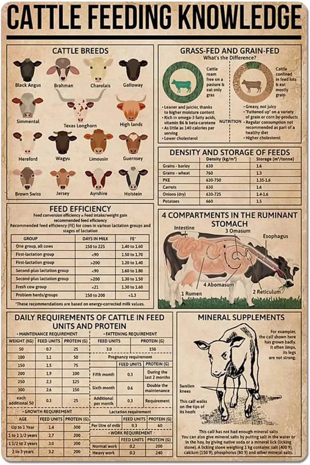 Metal Tin Sign Cattle Feeding Knowledge Illustrated Poster About Cattle ...