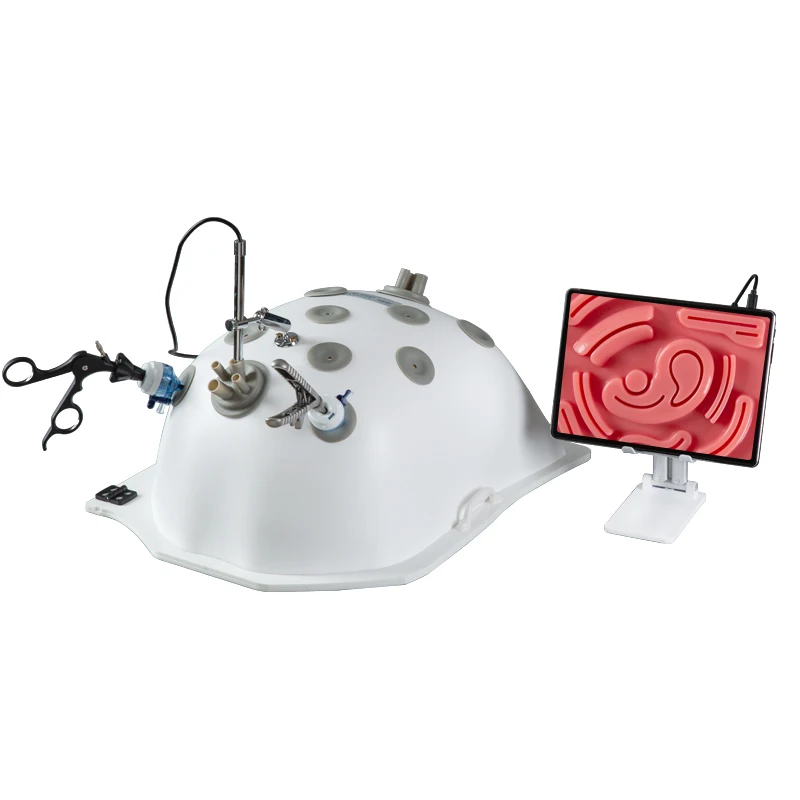 High-Simulation-Laparoscopy-Trainer-Laparoscopic-Simulator-Training-Box ...