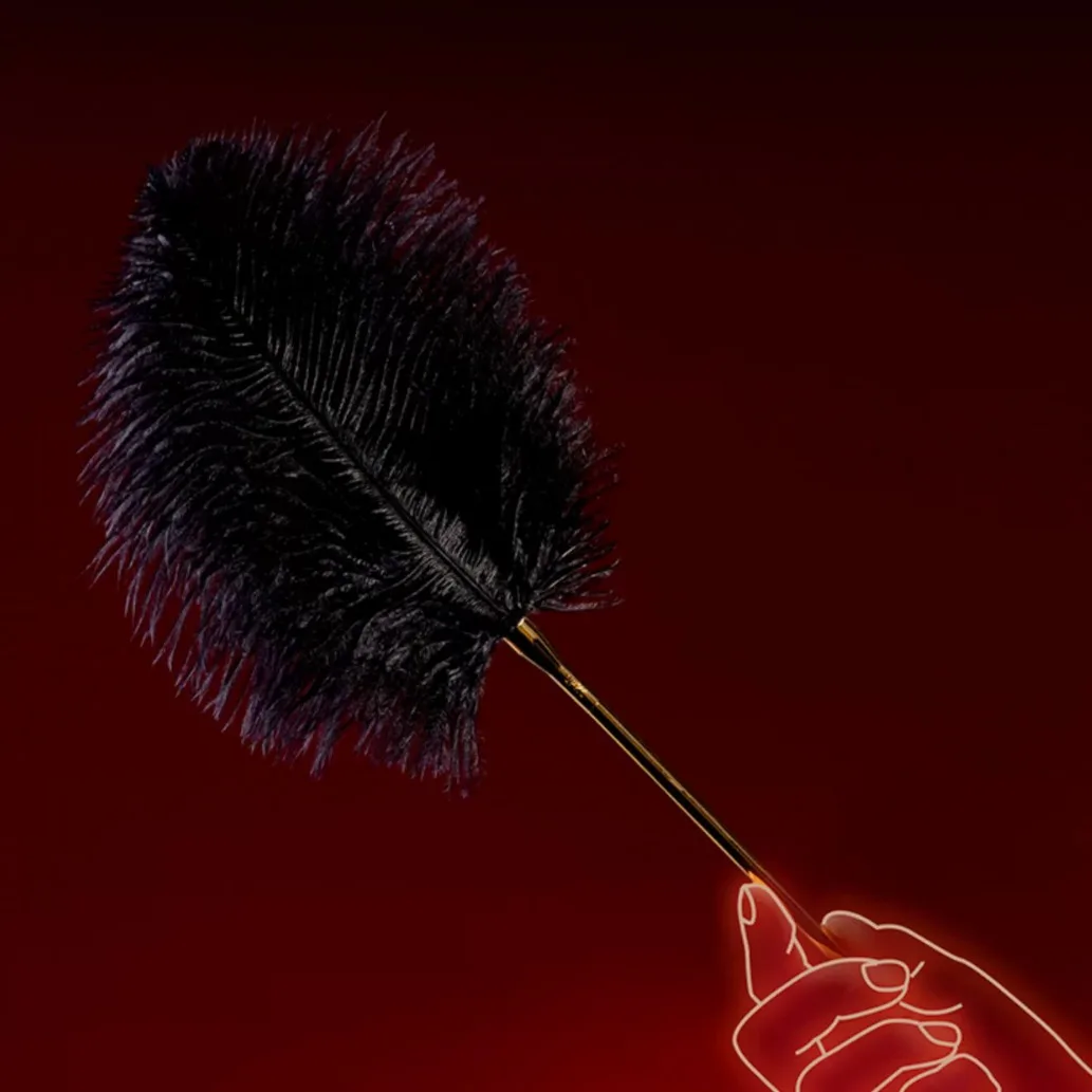 Genuine-Feather-Whip-Horse-Whip-Costumes-Performance-props-Whips-for ...