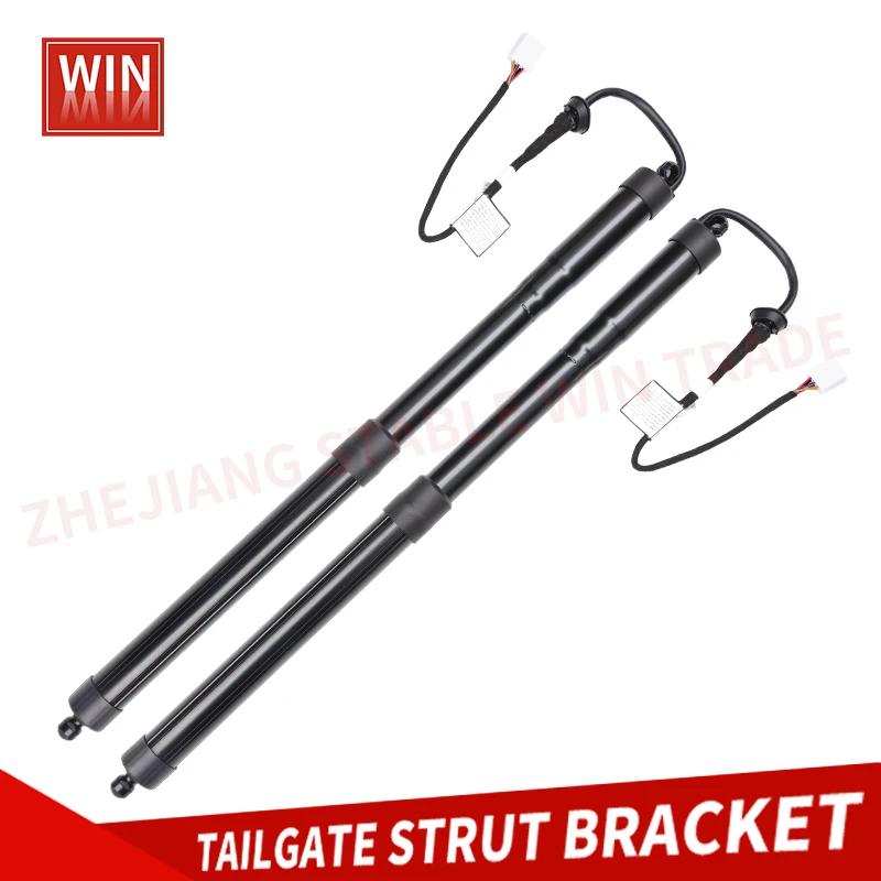 68920-42020-68910-0R060-Pair-Rear-Trunk-Liftgate-Power-Hatch-Lift ...