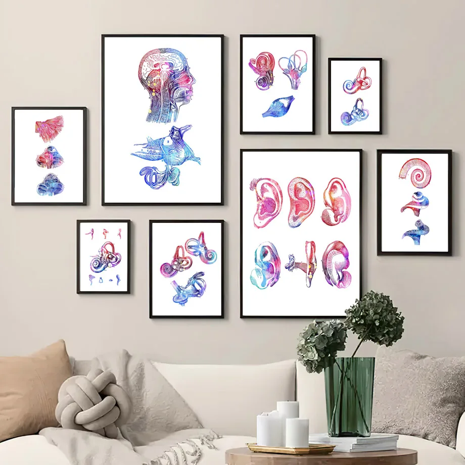 Audiology-Ear-Anatomy-Cochlea-Auditory-Wall-Art-Canvas-Painting-Nordic ...