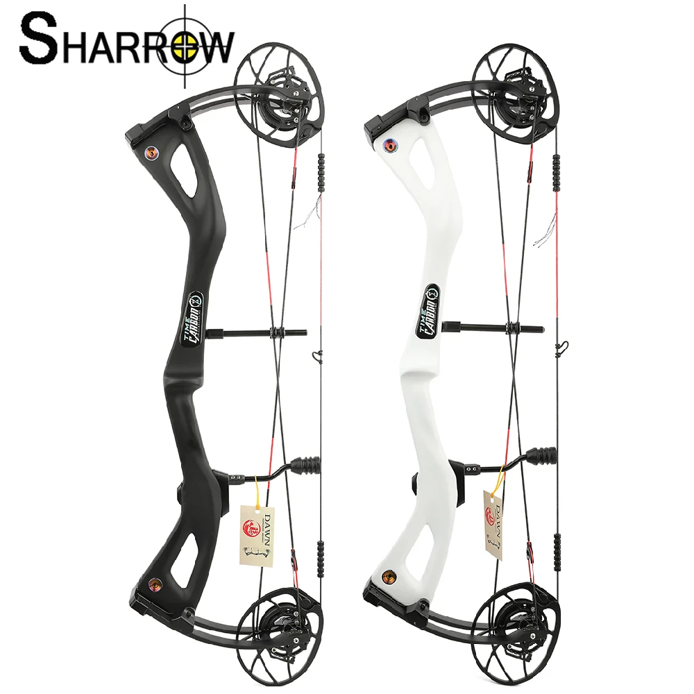 Carbon Fiber Compound Bow