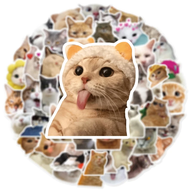 Full Katt Meme Katt Williams WTF Meme Meme Generator Imgflip