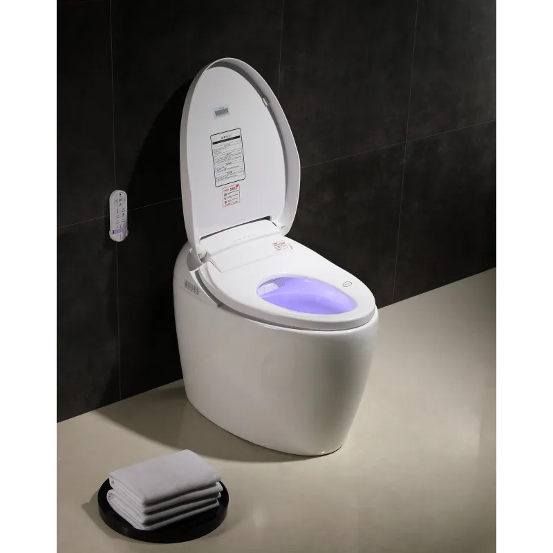 Luxury-Toilet-Bowl-Set-Water-Pump-Smart-Bidet-Electronic-Bidet-Ceramic ...