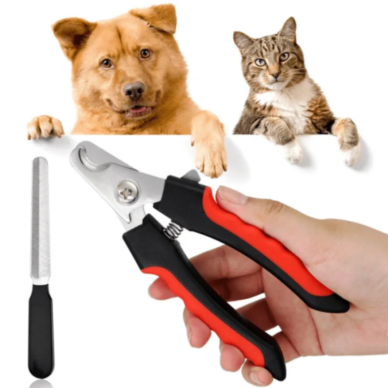 Se3c3cedcf8a6403484a281a0584b7ba02.png