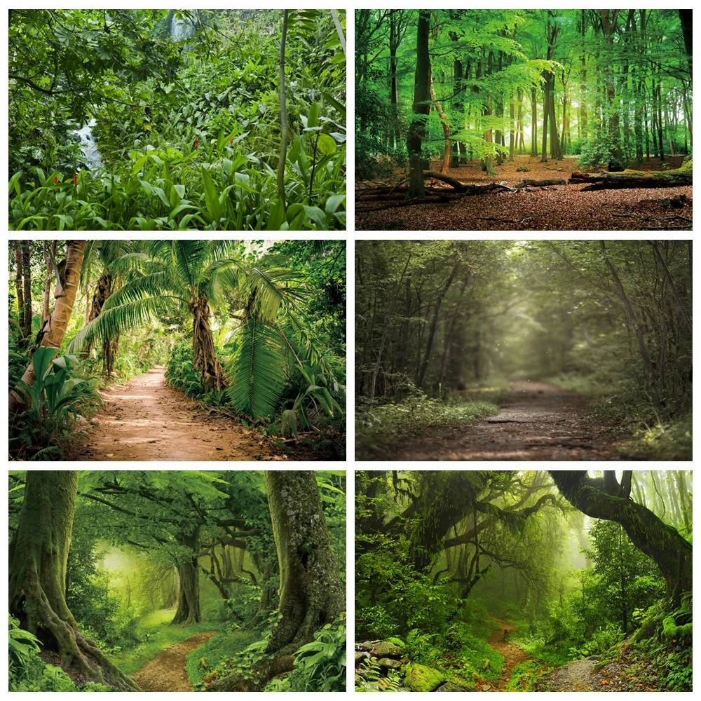 Spring-Green-Forest-Photo-Backdrop-Jungle-Woods-Rainforest-Natural ...