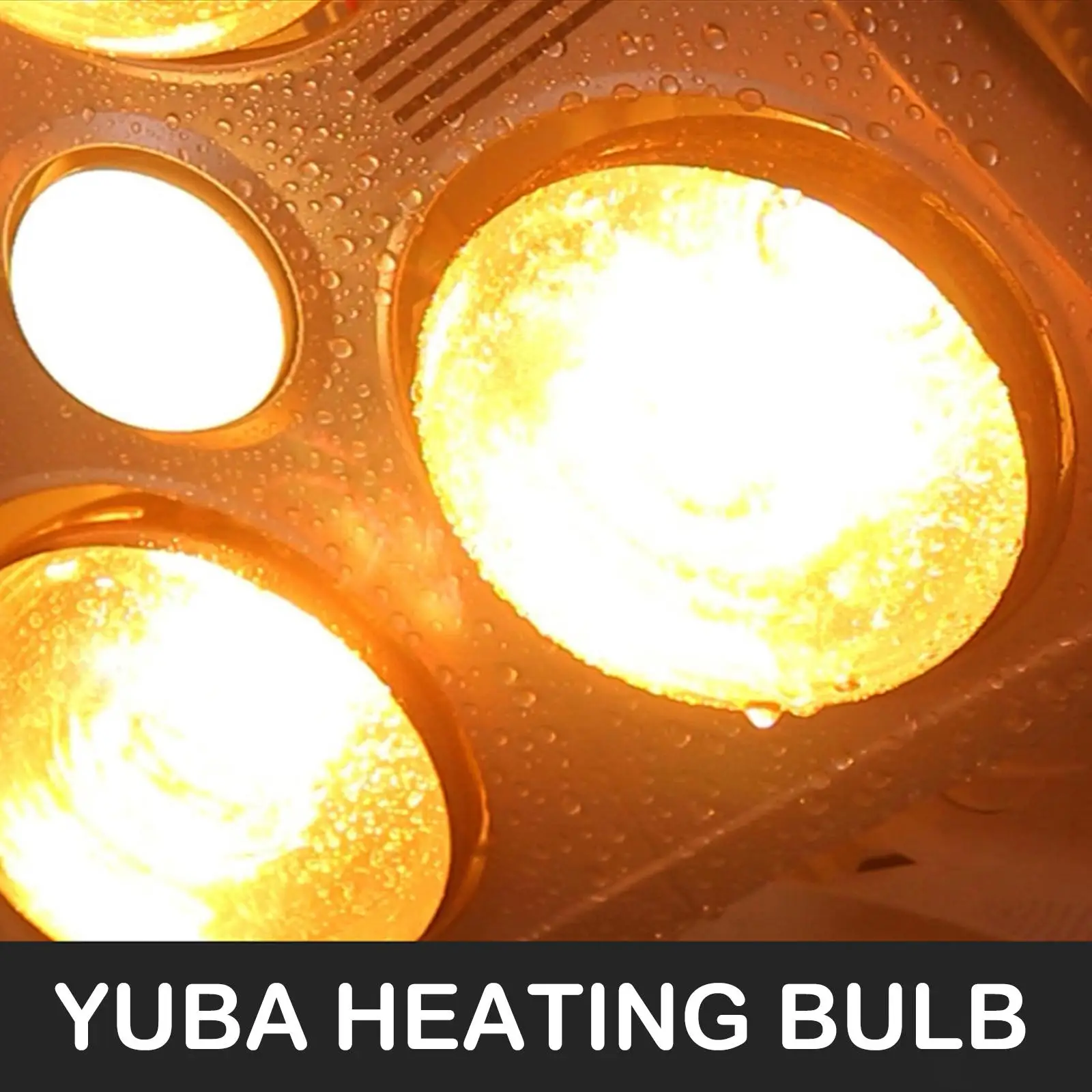 Explosion Proof Wall Heaters