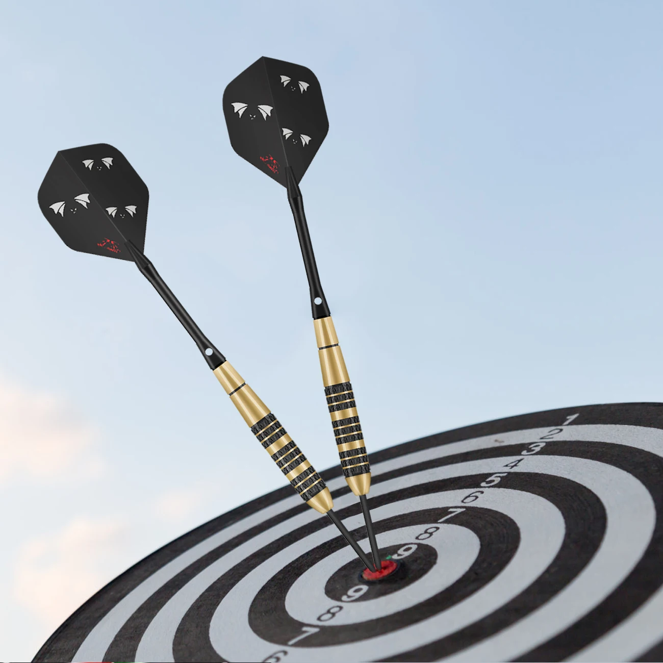 Steel-Darts-Tip-with-Alumium-Shafts-with-O-Rings-PET-Flight-Steel-tip ...