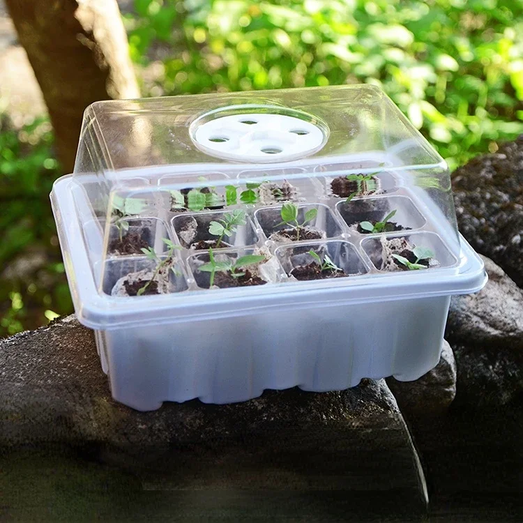 12-Cells-Breathable-Germination-Box-Garden-Mini-Greenhouse-Nursery ...
