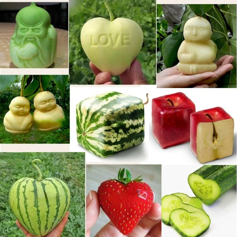 Fruit Mould