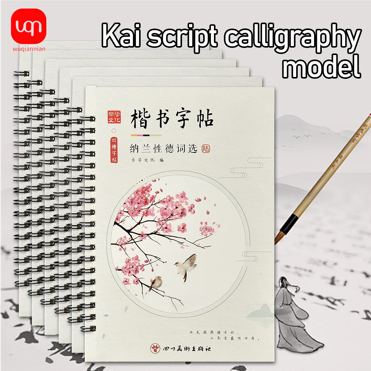 WQN-6PCS 3D Chinese Characters Reusable Grooved Calligraphy Copybook ...